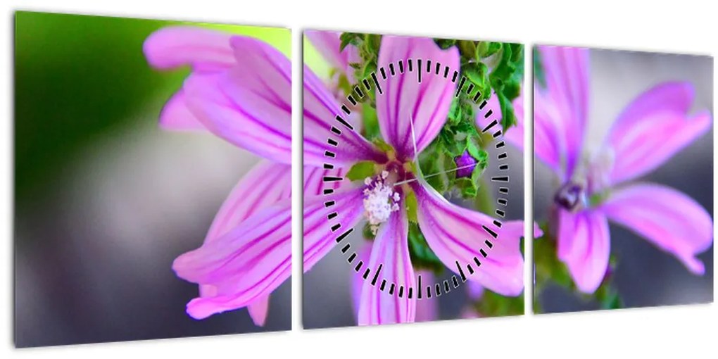 Detailní obraz květiny (s hodinami) (90x30 cm)