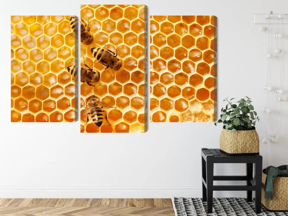 Vícedílný obraz Včely Na Plástev Nedostatek Nedostatek Přírodní plátno 150x100