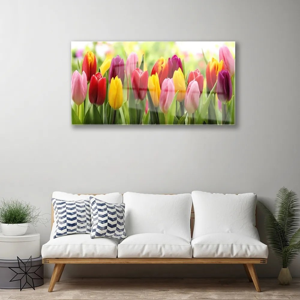 Obraz na skle Tulipány Květiny Příroda 140x70 cm