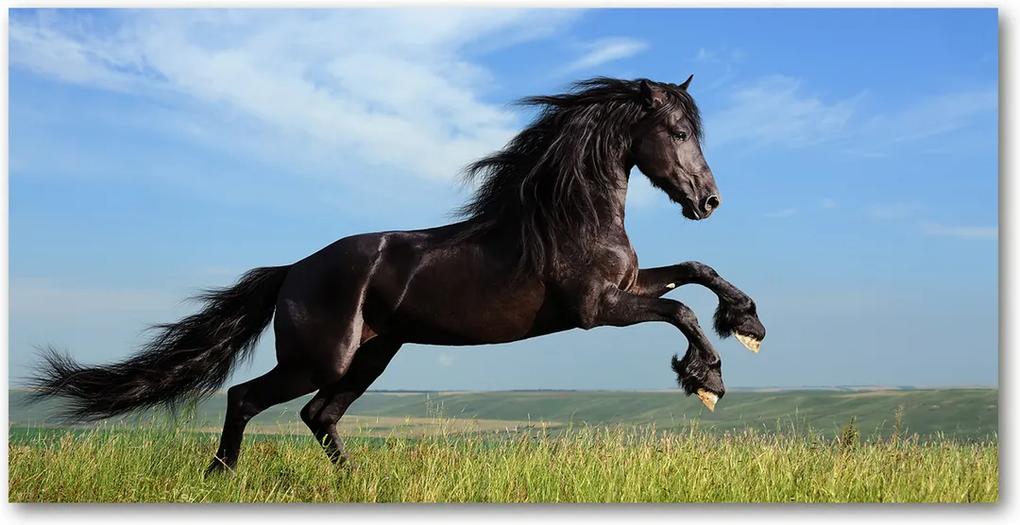 Moderní skleněný obraz z fotografie Černý kůň na louce