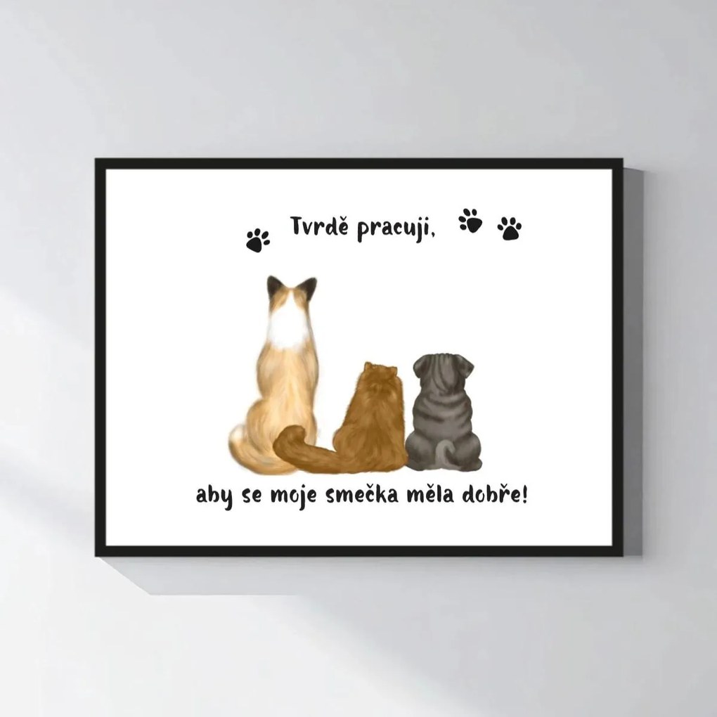 Personalizovaný magický fotoobraz v rámu - 30x40 - ilustrace mazlíčků
