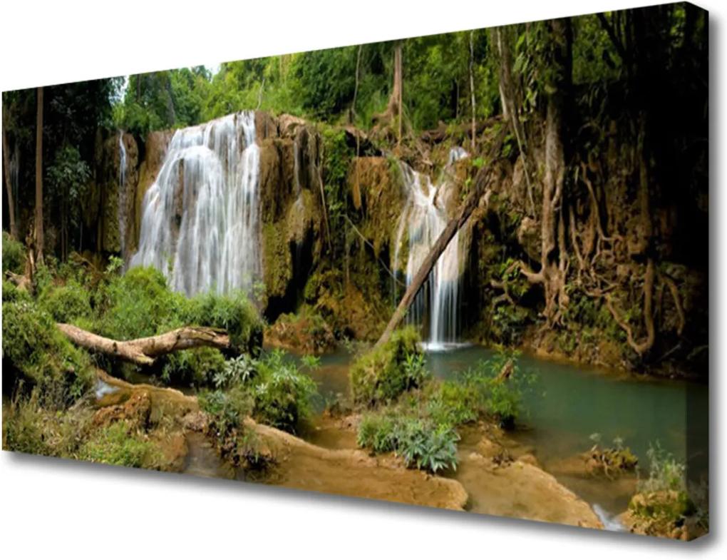 Obraz na plátně Vodopád Řeka Les Příroda