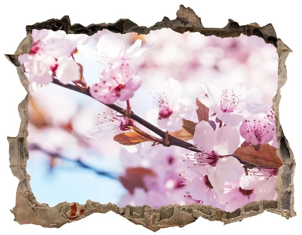 Wallmuralia Samolepící díra nálepka Květy višně 95x64 cm