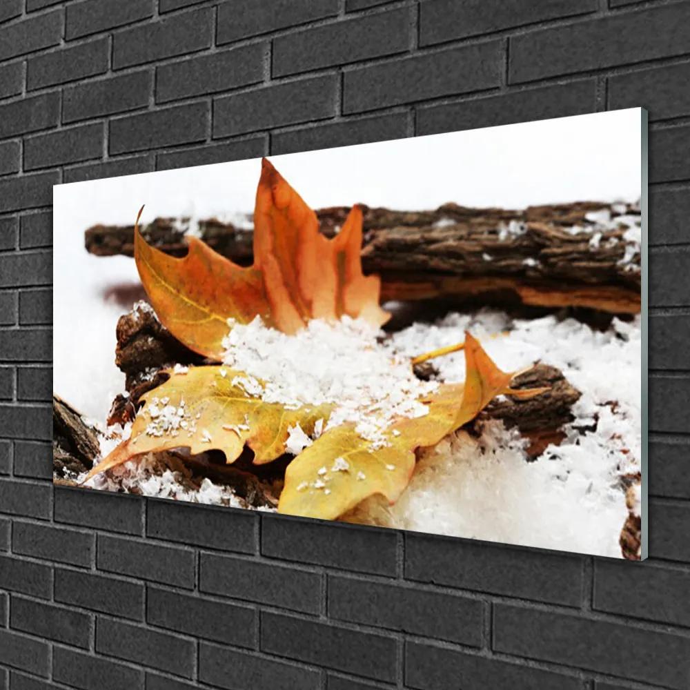Obraz na skle List Les Podzim Příroda 100x50 cm