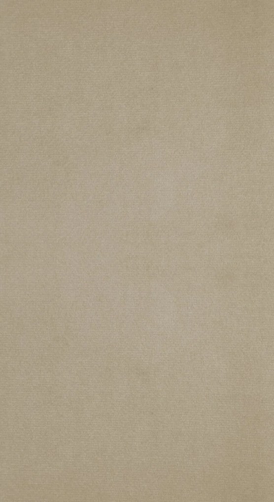 ZATEMŇOVACÍ ZÁVĚS NA KROUŽCÍCH ANTARA 140X270 CM SVĚTLEBÉŽOVÁ