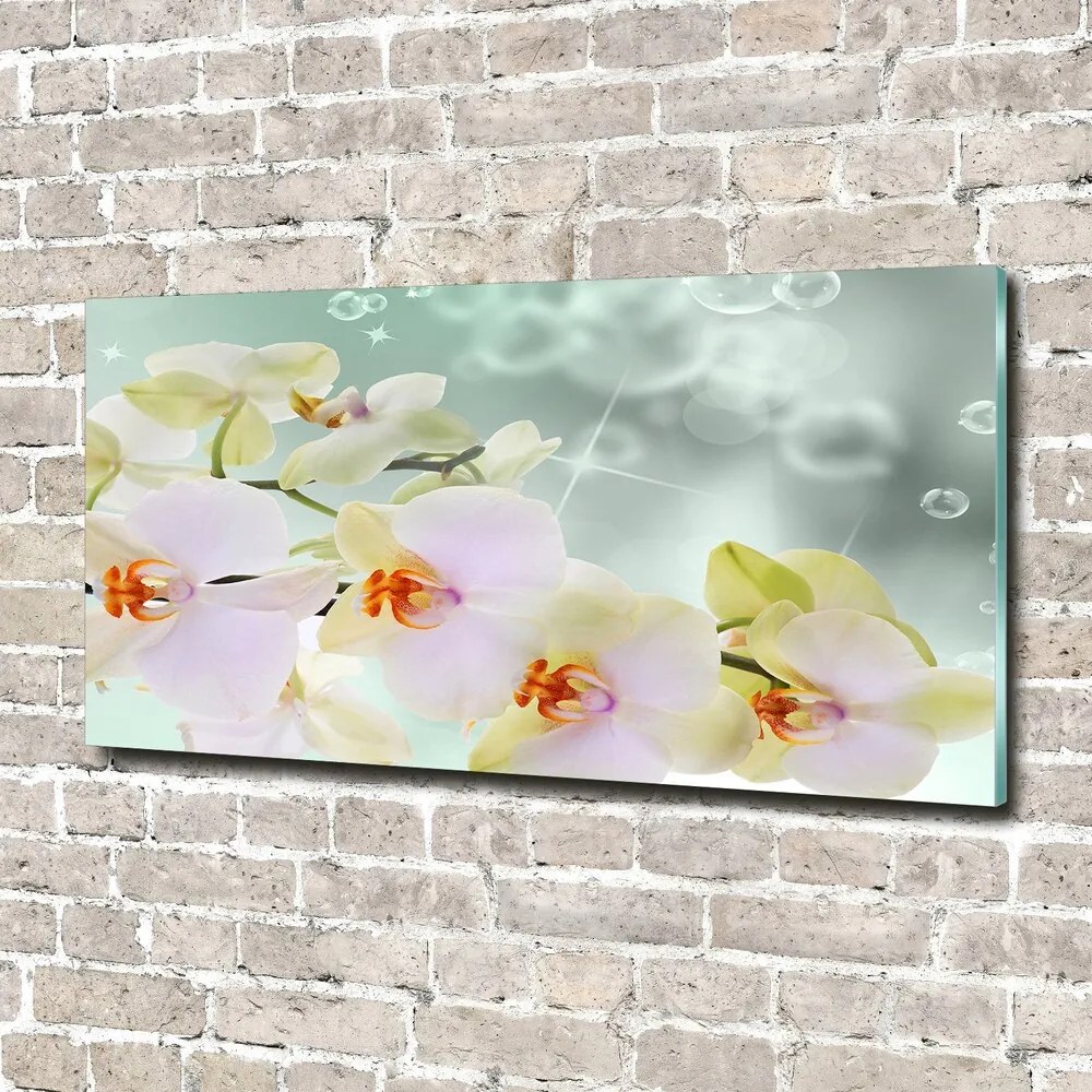 Wallmuralia Foto obraz fotografie na skle Bílá orchidej 140x70 cm