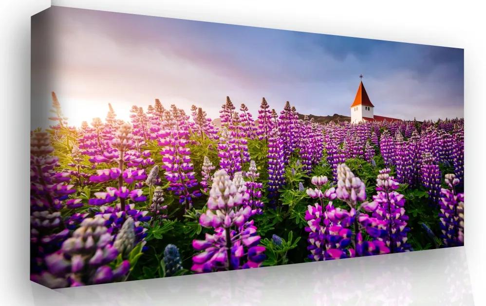 InSmile ® Obraz - fialové snění Velikost (šířka x výška): 90x60 cm