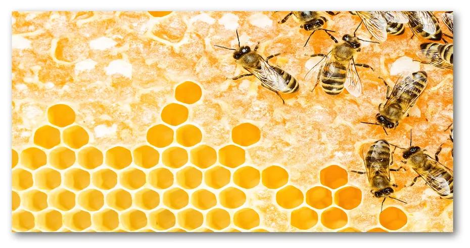 Wallmuralia Fotoobraz na skle Pracující včely 100x50 cm