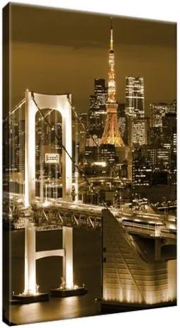 Obraz na plátně Rainbow Bridge Tokio 20x30cm 1530A_1S