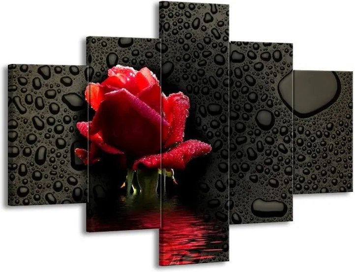 Mokrá rudá růže 100x70 cm