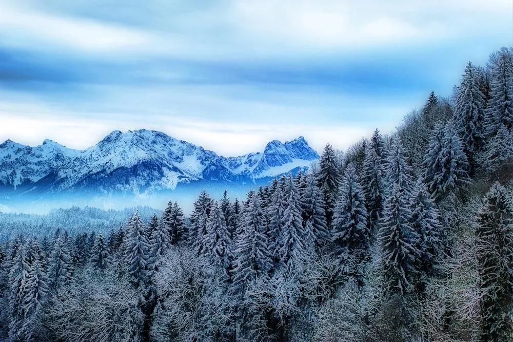 Fototapeta zamrzlé hory - 225x150 cm