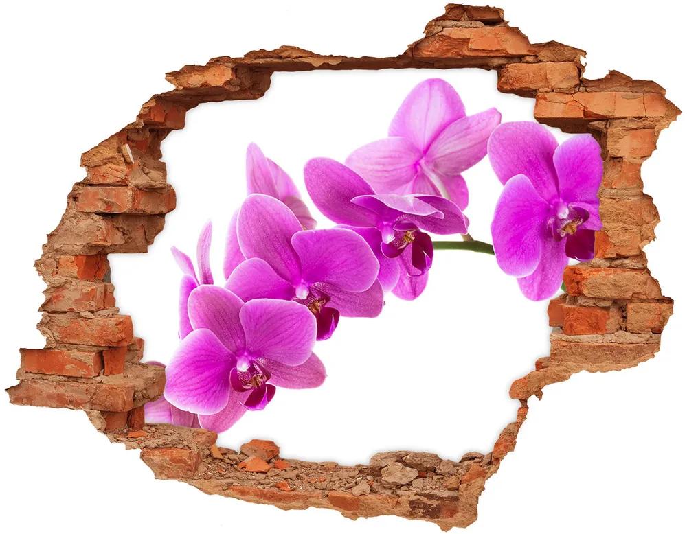 Wallmuralia Samolepící díra nálepka Růžová orchidej 90x70 cm