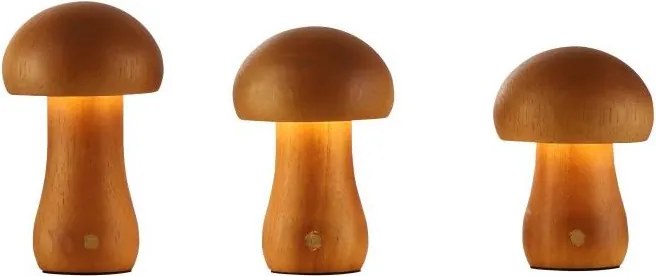 Searchlight EU34125NA - SADA 3x LED Stolní lampa MUSHROOM LED/1,1W/5V Biano.cz