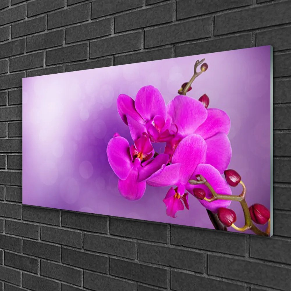 Obraz na skle Květiny Plátky Orchidej 140x70 cm