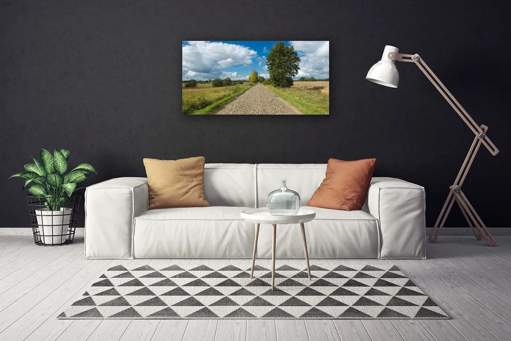 Obraz na plátně Vesnice Cesta Dlažba Krajina 120x60 cm