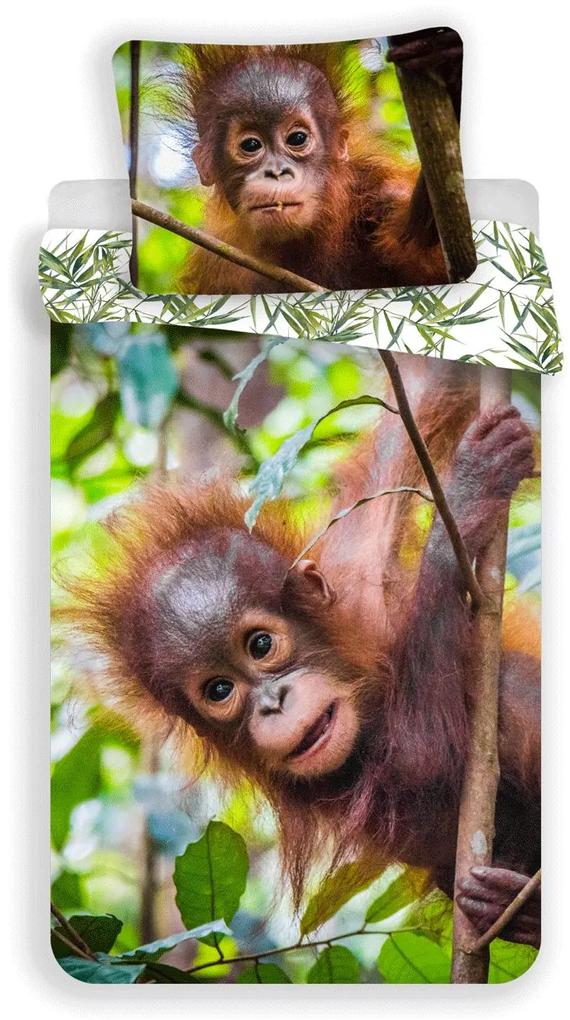 Jerry Fabrics Povlečení fototisk Orangutan 02 140x200, 70x90 cm