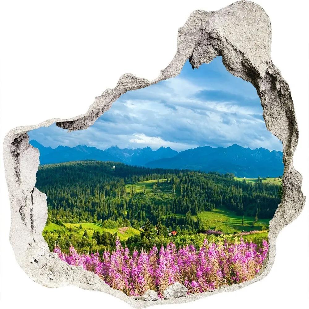 Wallmuralia Samolepící díra nálepka Levandule v horách 75x75 cm