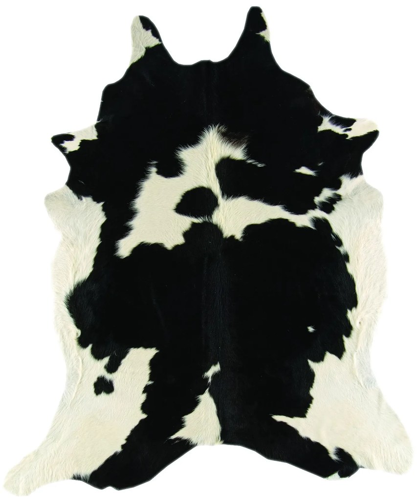 Černý koberec Banshee Black Rozměry: 180x240 cm