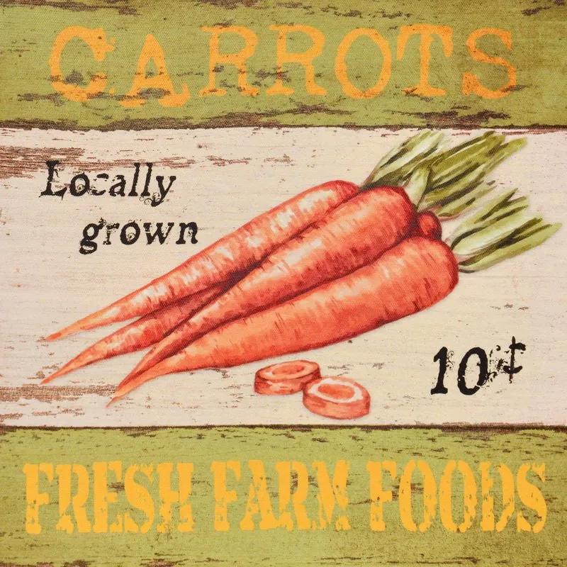Obraz na plátně - Carrots (Fresh Farm Foods)