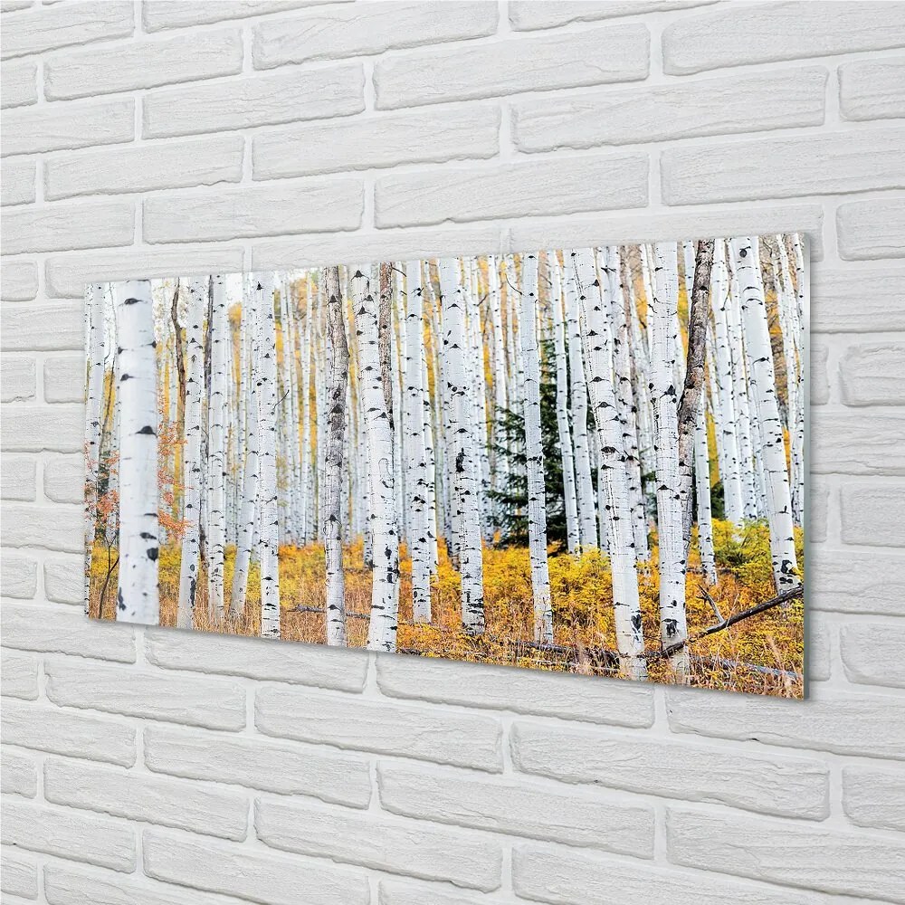 Obraz na skle podzimu bříza 140x70 cm