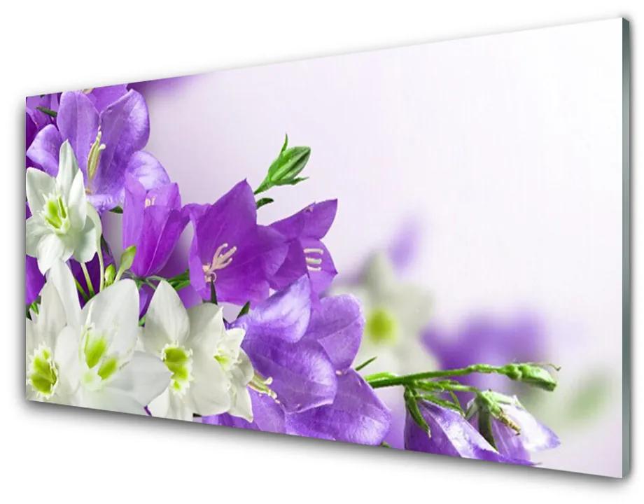 Obraz na skle Květiny Rostlina 140x70cm