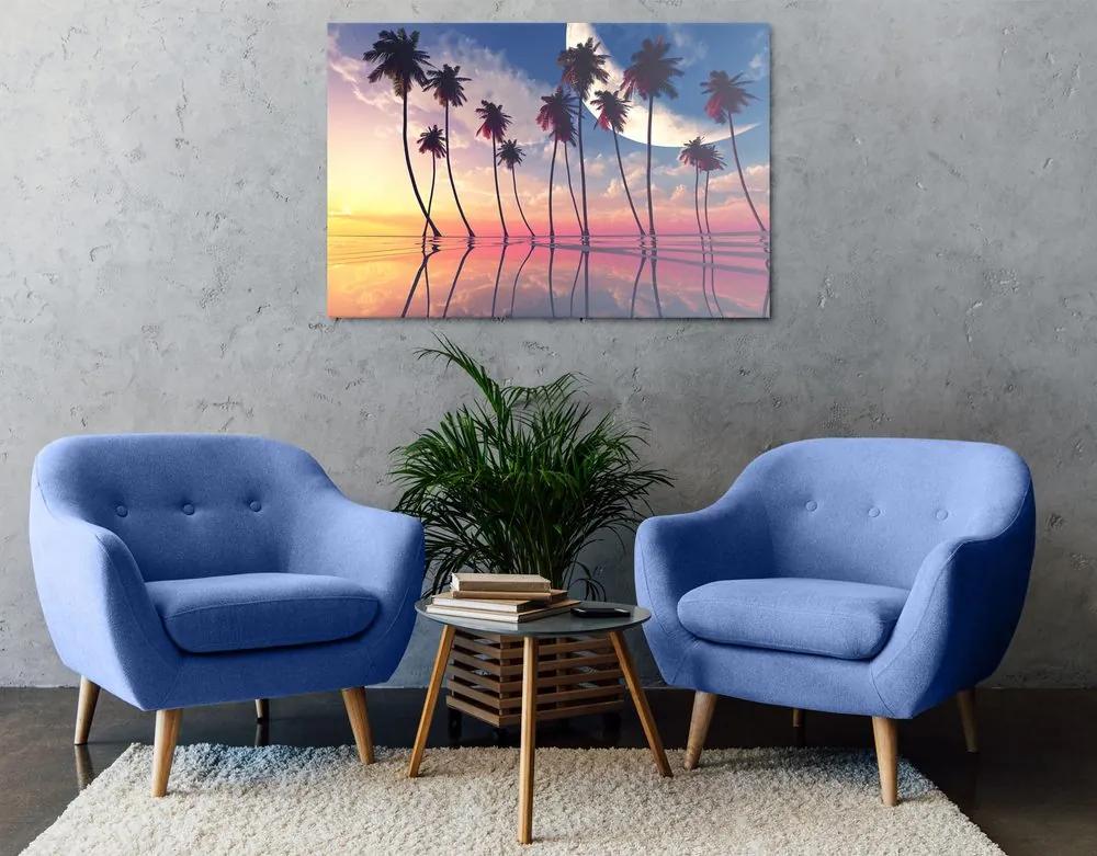Obraz západ slunce nad tropickými palmami