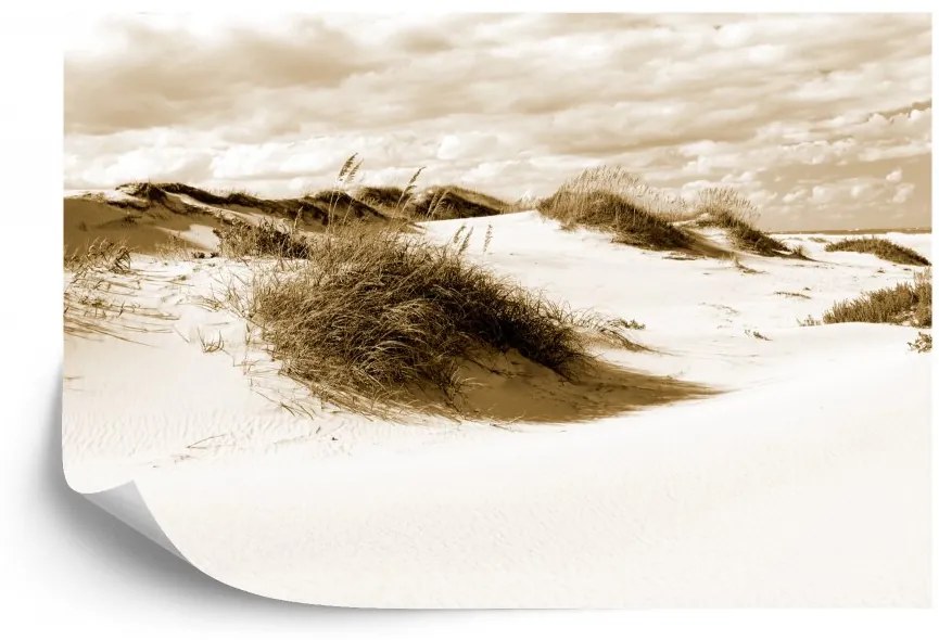Fototapeta Odpoledne V Dunes V Sepia Samolepící tapety 270x180