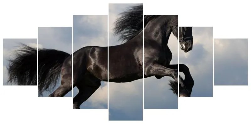 Obraz černého koně  (210x100 cm), 40 dalších rozměrů