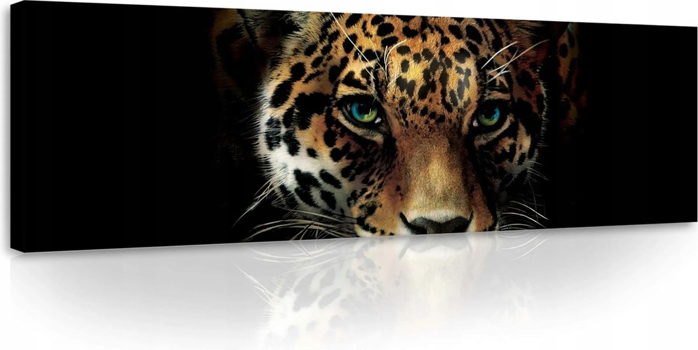 Obraz 145x45 Jaguar pohled do divoké přírody Ideální do obývacího pokoje