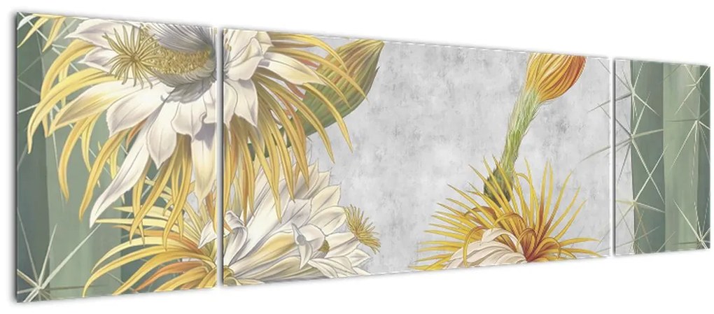 Obraz - Rozkvetlé kaktusy (170x50 cm)