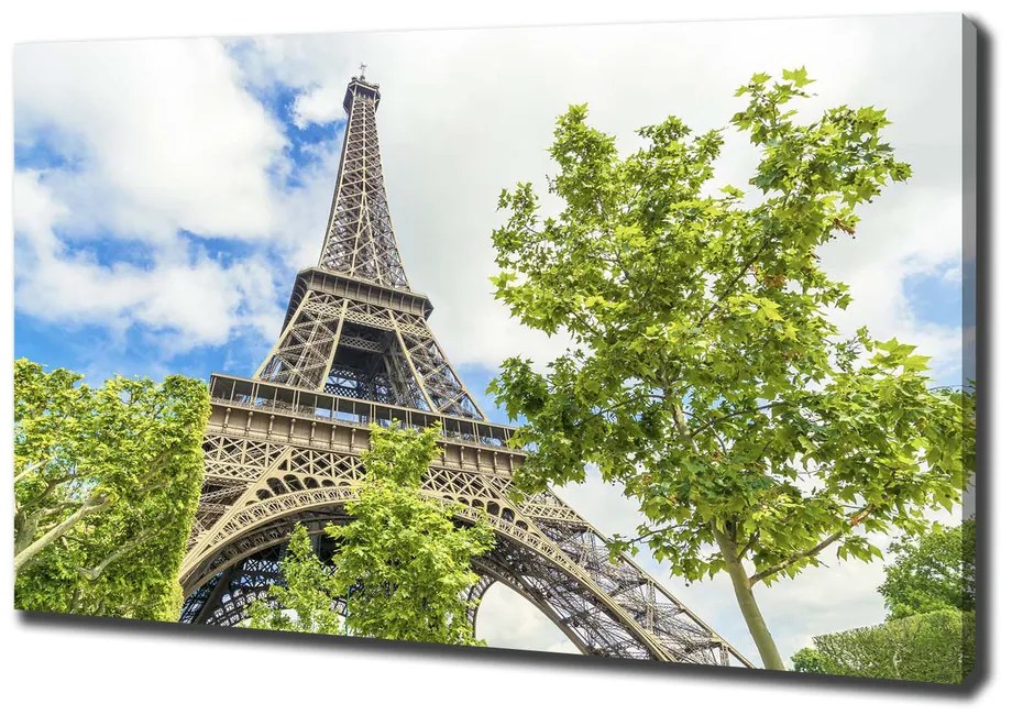 Wallmuralia Foto obraz tištěný na plátně Eiffelova věž Paříž 100x70 cm
