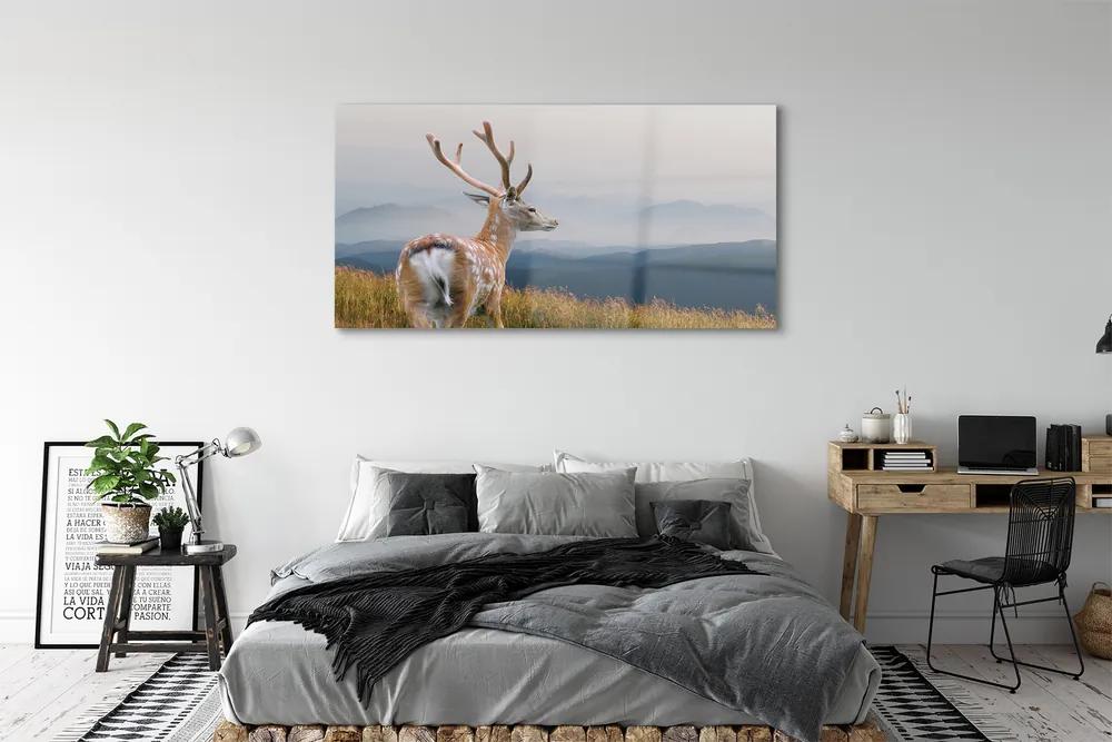 akrylový obraz jelen hory 140x70 cm