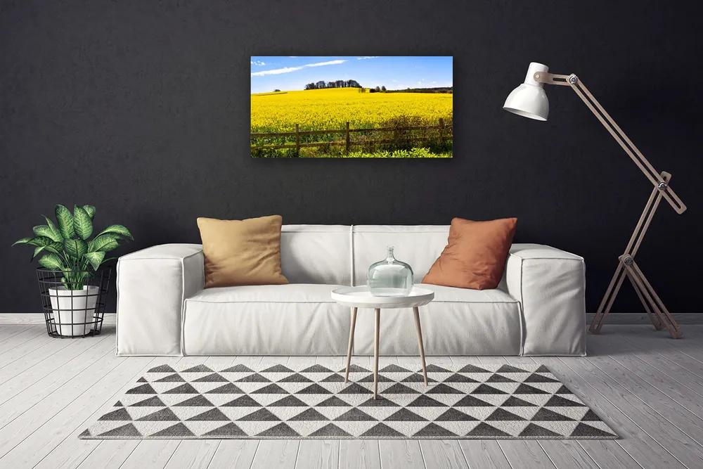 Obraz na plátně Pole Rostlina Krajina 125x50 cm