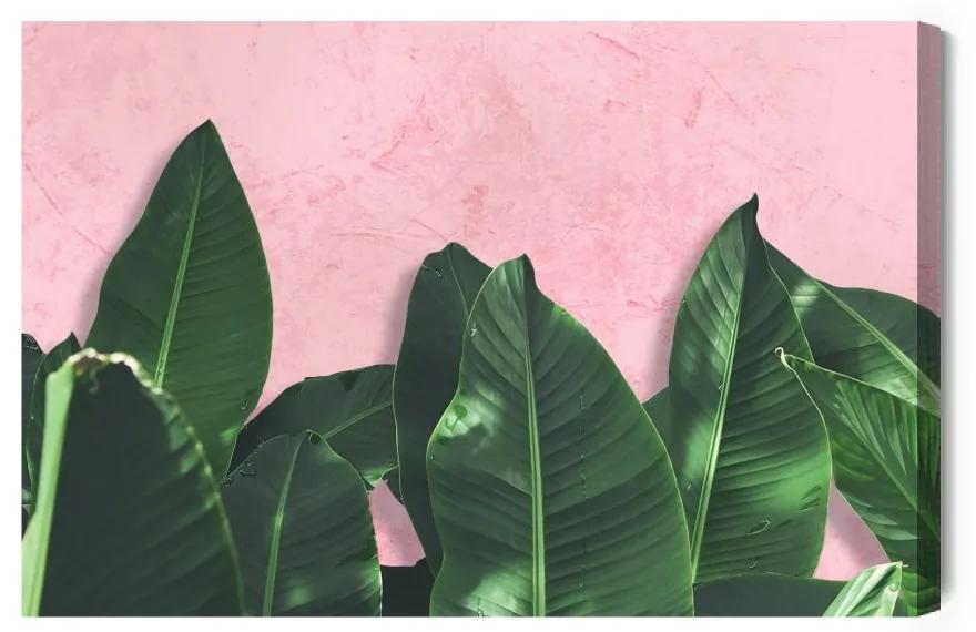 Obraz Tropické Rostliny Na Růžovém Pozadí Nedostatek Nedostatek Plátno Canvas 90x60