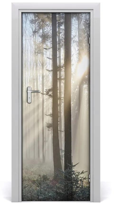 Fototapeta na dveře mlha v lese 75x205 cm