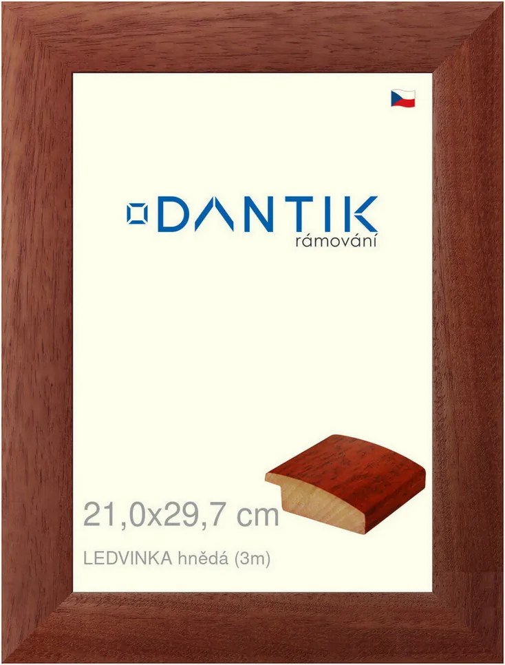 DANTIK rámeček 21x29,7 | LEDVINKA hnědá (Sklo Čiré)