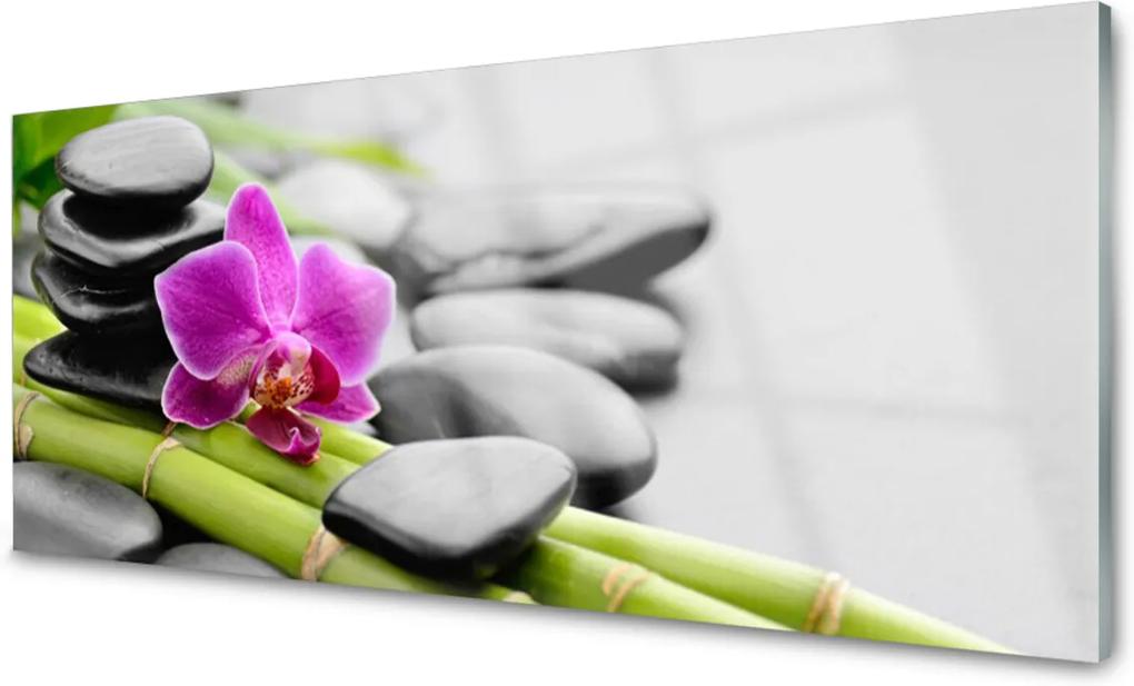 Plexisklo obraz Bambus Květ Kameny Umění