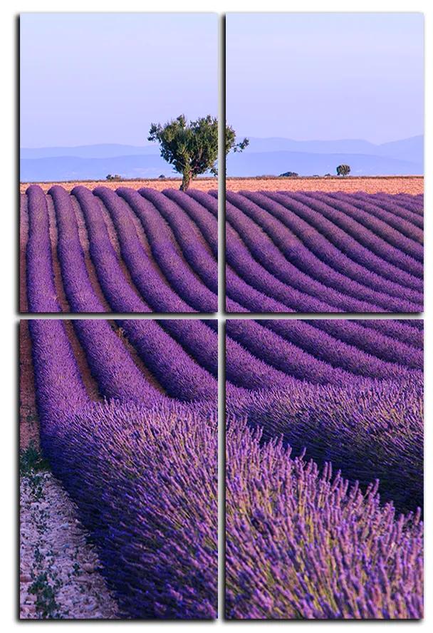 Obraz na plátně - Levandulové pole v létě - obdélník 7234E (90x60 cm)