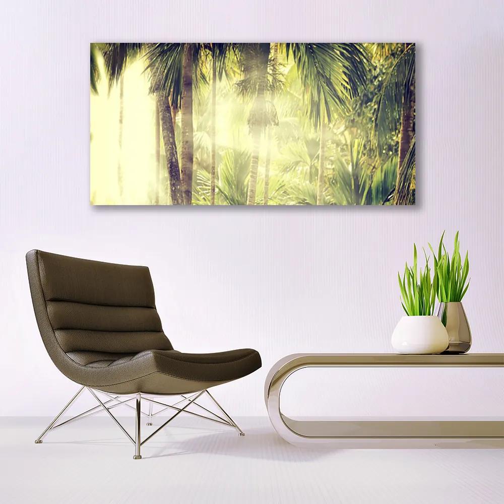 akrylový obraz Les Palmy Stromy Příroda 120x60 cm