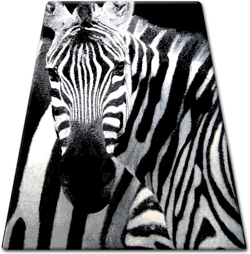Kusový 3D koberec FLASH Zebra šedý 160x225