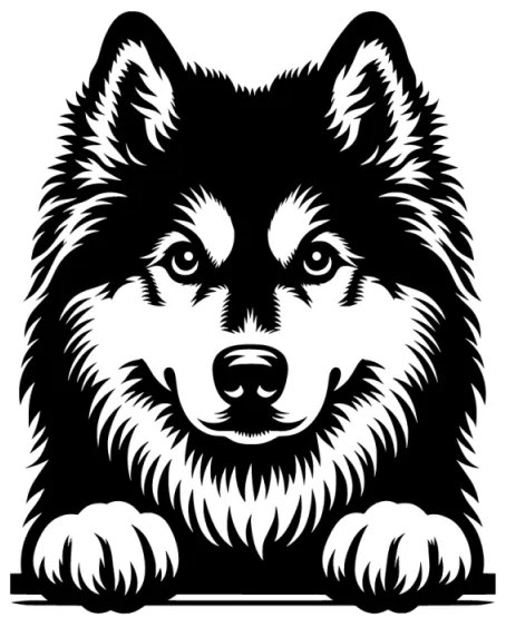 Samolepka pes Sibiřský husky