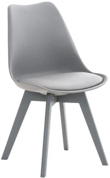 Židle Michelle šedá/šedá