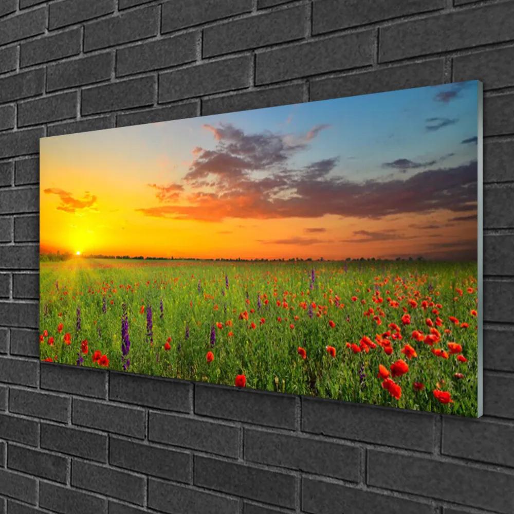 Obraz na skle Slunce Louka Květiny Příroda 125x50 cm
