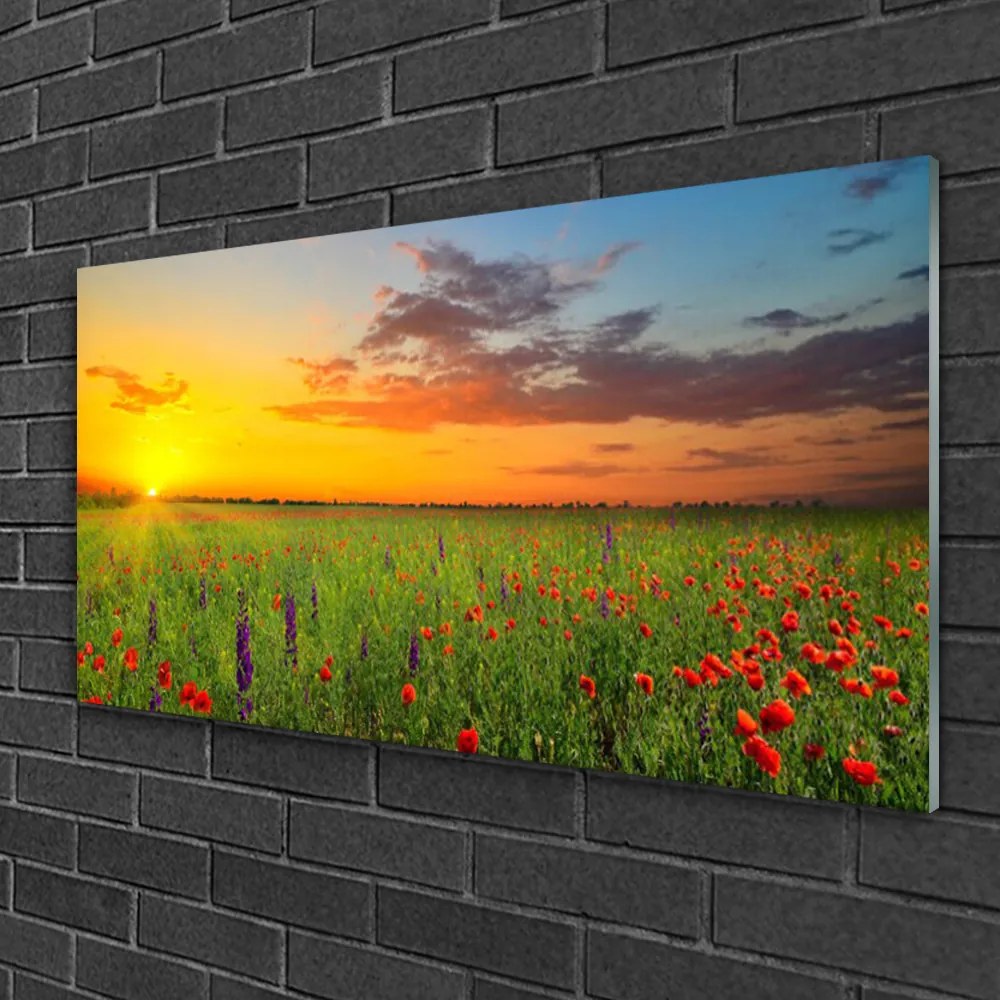 Obraz na skle Slunce Louka Květiny Příroda 140x70 cm