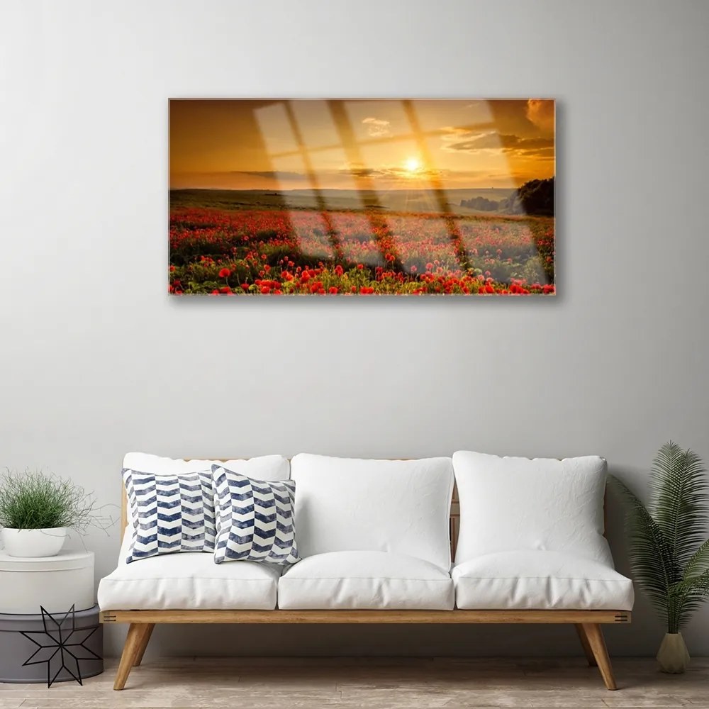 akrylový obraz Pole Máky Západ Slunce Louka 100x50 cm