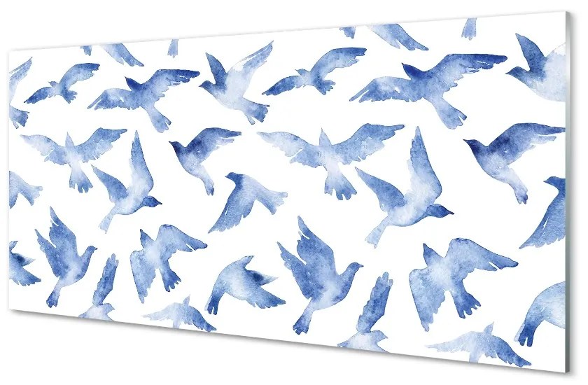 Obraz na skle malované ptáci 120x60 cm