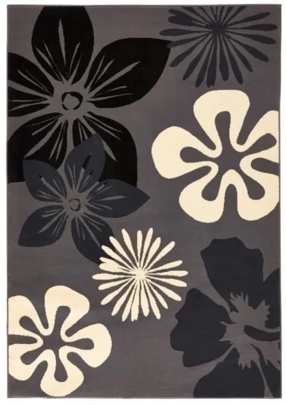 Hanse Home Collection koberce Kusový koberec Gloria 102400 - 80x150 cm