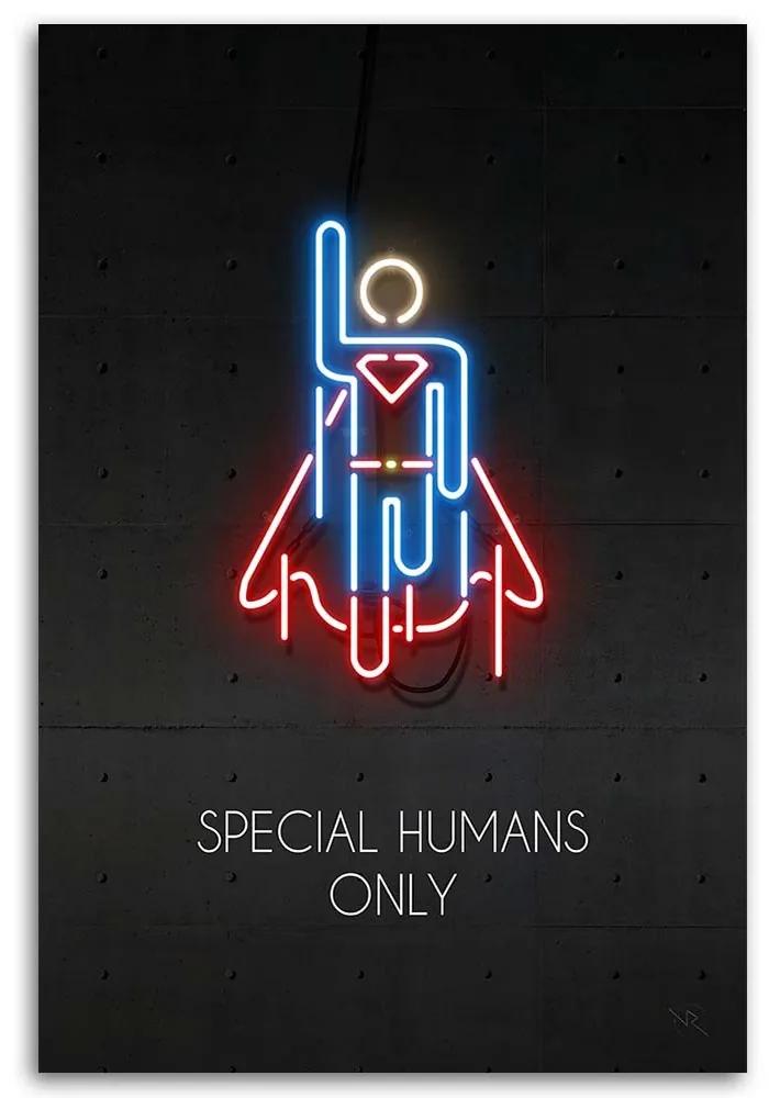 Gario Obraz na plátně Neonový superman - Rubiant Rozměry: 40 x 60 cm