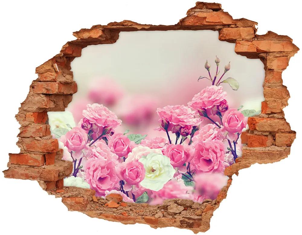 Wallmuralia Samolepící díra na stěnu Květiny divoké růže 90x70 cm