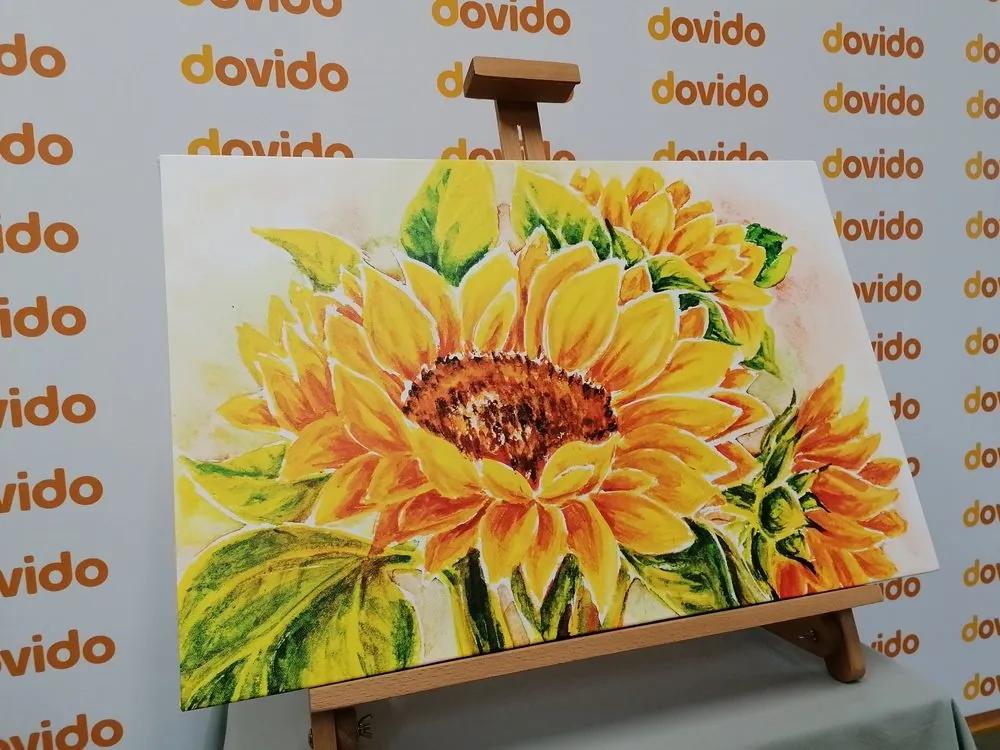 Obraz nádherná slunečnice - 120x80 cm
